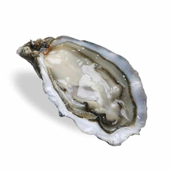 Bienfaits des huitres, méfaits, cholestérol, fertilité, foie, usa, canada