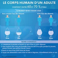 Hydratation : pourquoi boire suffisamment d’eau est essentiel